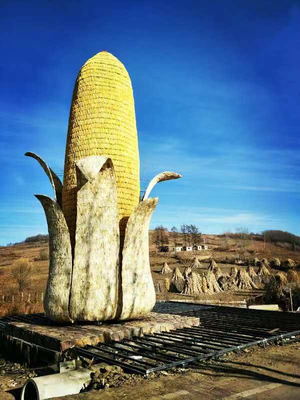 ‘Super corn’ debuts in Jilin
